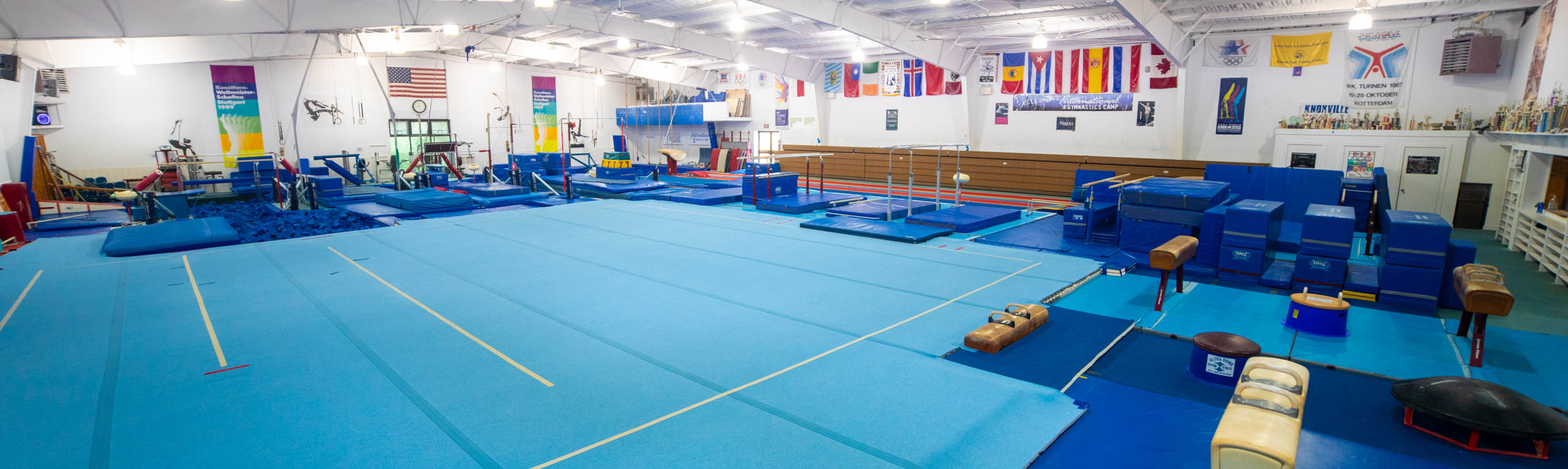Girls Beginner (6-8 year olds) - International Gymnastics School